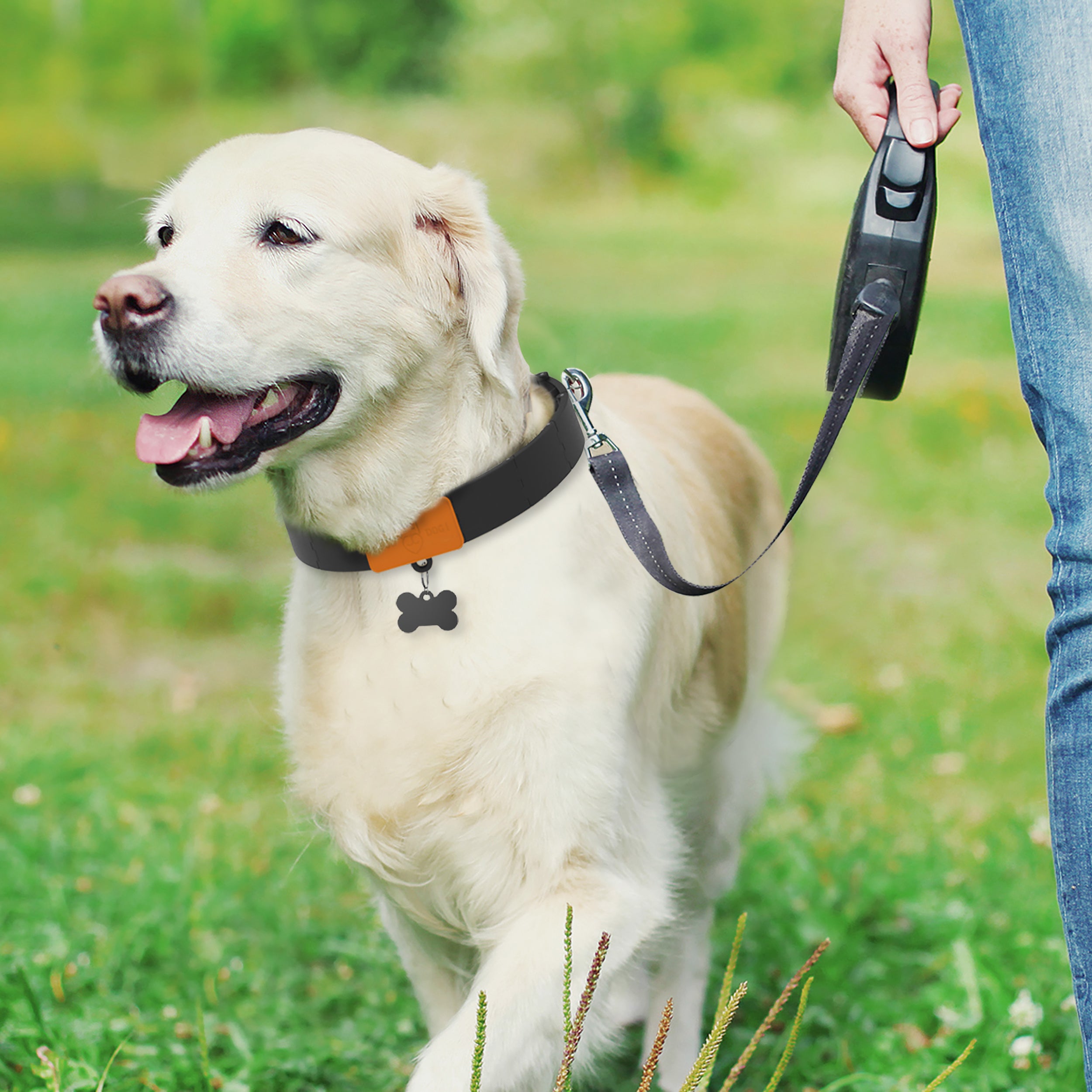 Training product – Silicon Valley Devices