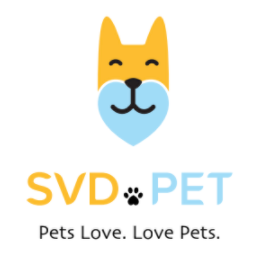 Silicon Valley Devices